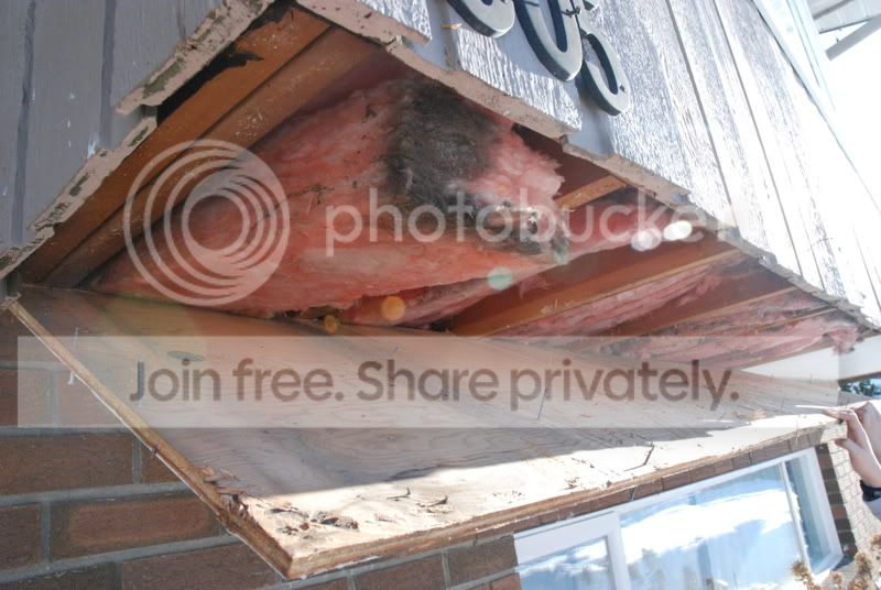 second floor overhang issue | DIY Home Improvement Forum