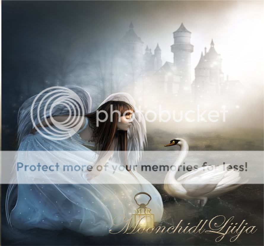 Guild Charter | The Forgotten Kingdom